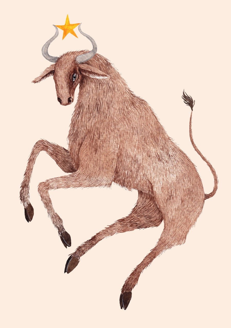 Sterrenbeeld Stier: de belangrijkste eigenschappen op een rij – Moonsisters