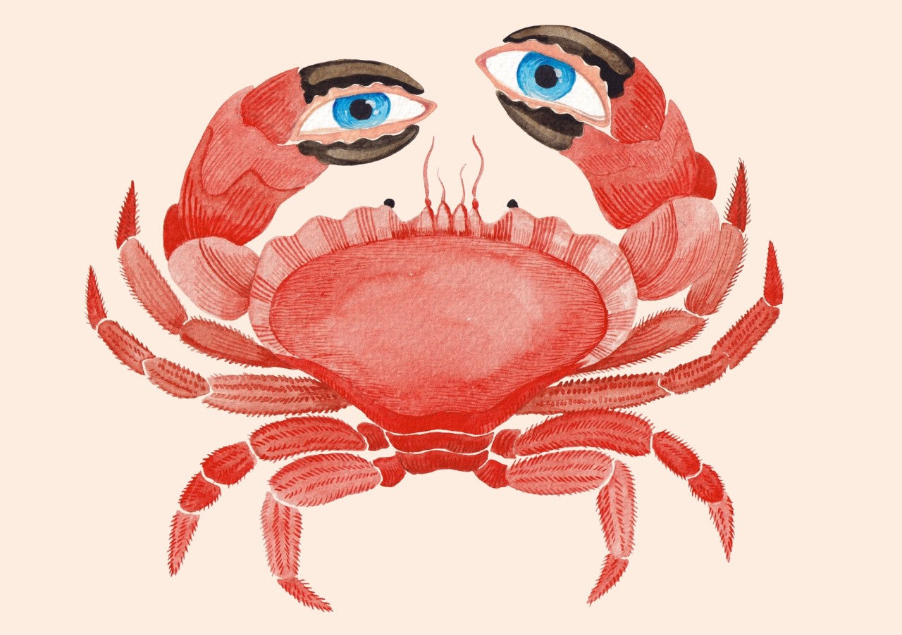 Sterrenbeeld Kreeft: de belangrijkste eigenschappen op een rij ...